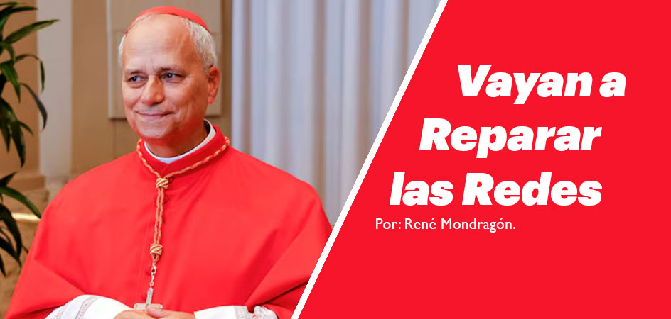 Vayan a Reparar las Redes - Angulo Político
